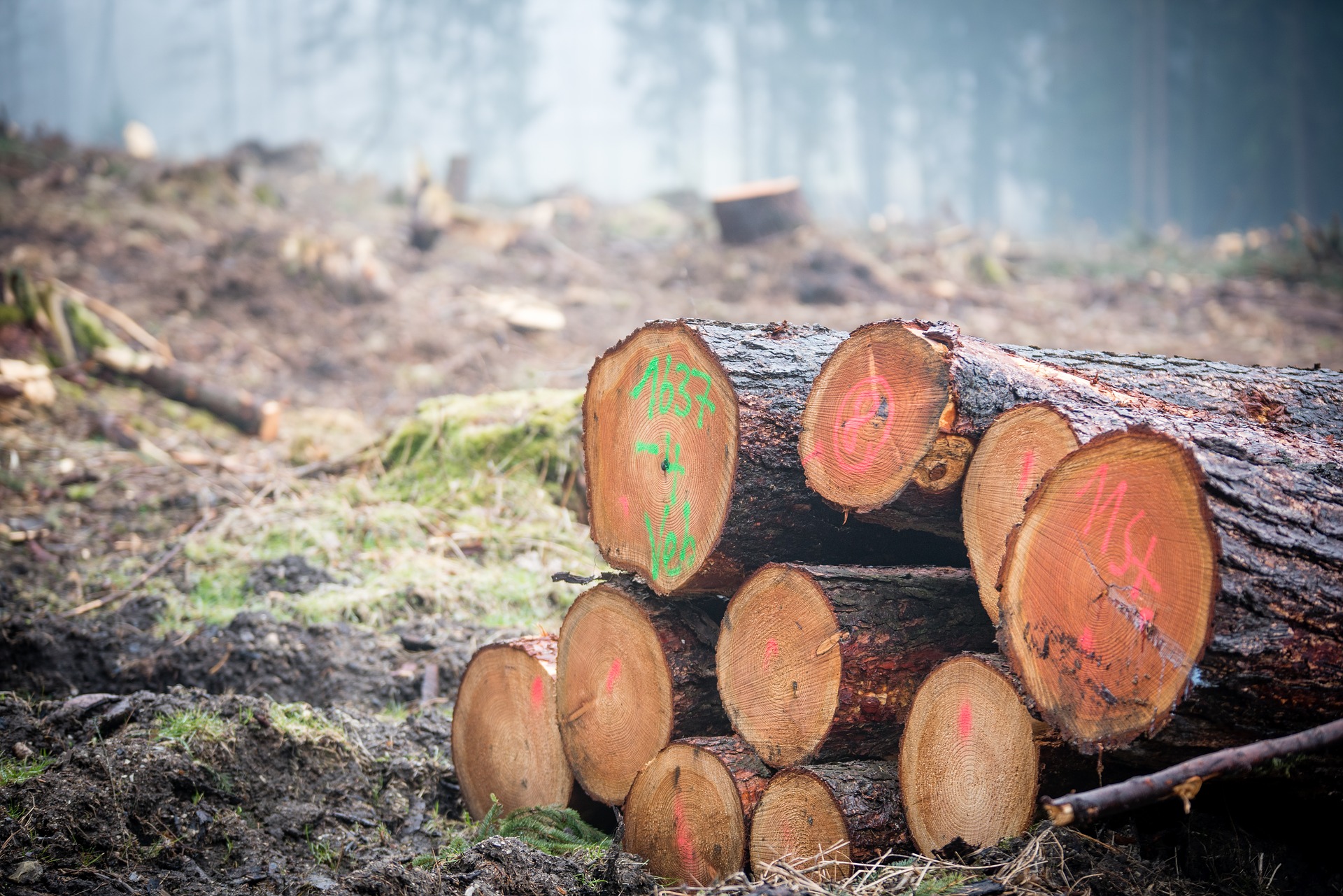 Humio Launches Advanced Log Management Certification Course - TFiR